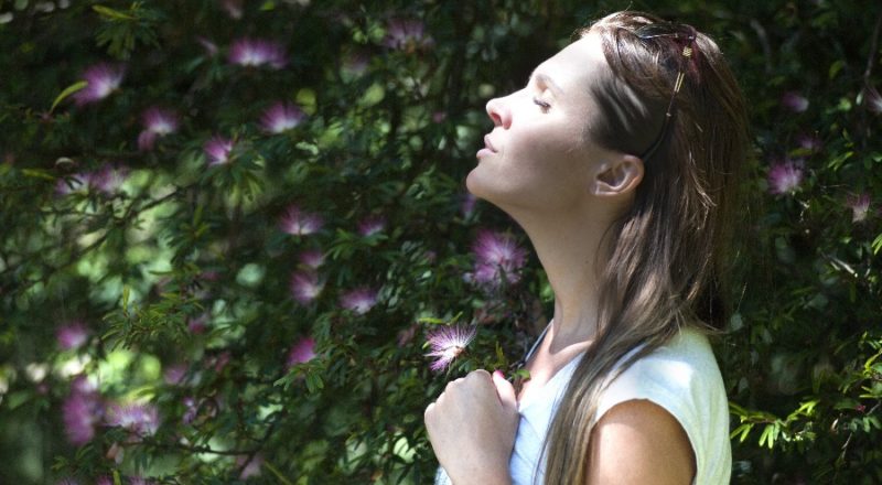 How to Relax in an instant with The Calming Wheel Technique - AmberLife